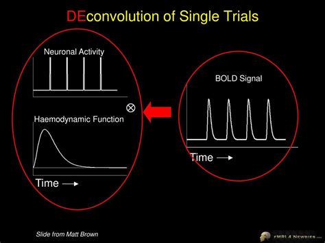 Basics Of Experimental Design For Fmri Event Related Designs Ppt