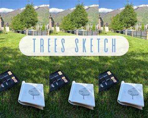 5 Cool Trees Sketch