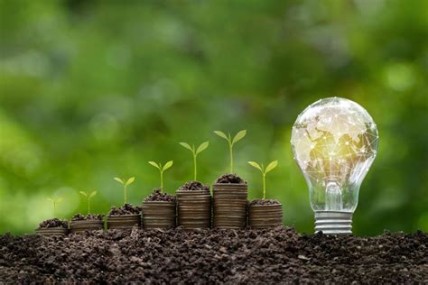 Carbon Offsetting In Fleets Going Net Zero Guttman Energy