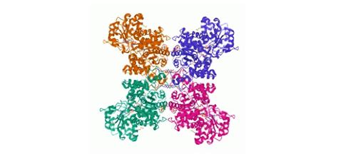 Enzyme Structure Definition And Examples I NotesBard