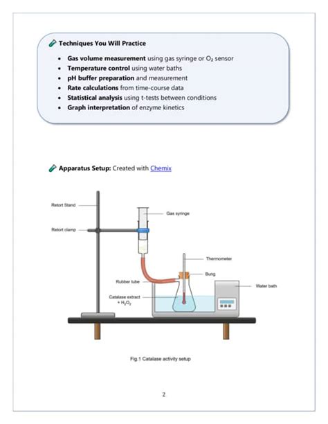 Ib Dp Biology Catalase Enzyme Activity And Reaction Rate Lab Notes 2025