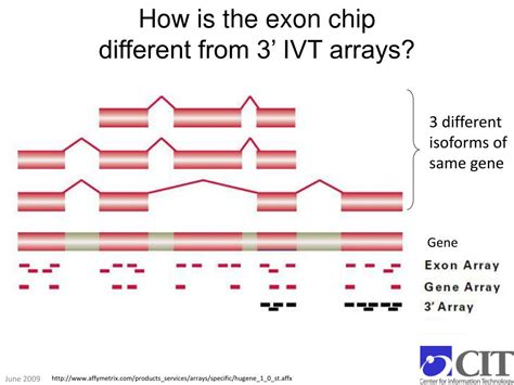 Ppt Detecting Alternative Splicing Using The Human Affymetrix Exon