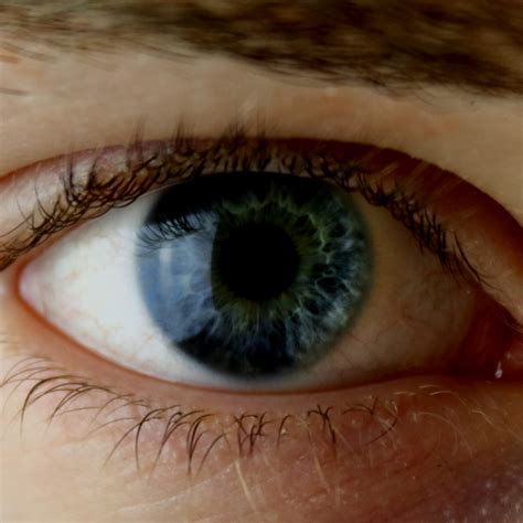 How Light Affects Human Health IDES UK Commercial Light Specialists