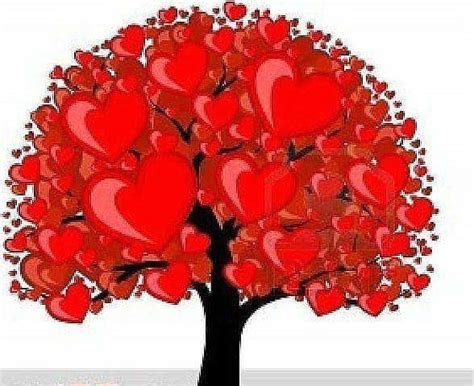 ვარდები და გულები Vardebi Da Gulebi Home Facebook