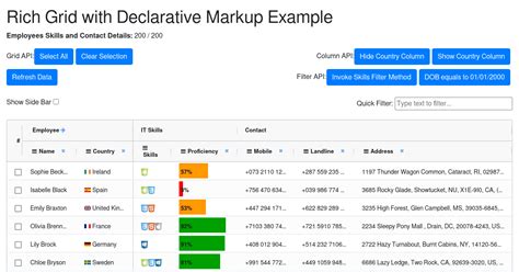Ag Grid Enterpriserow Grouping Examples Codesandbox