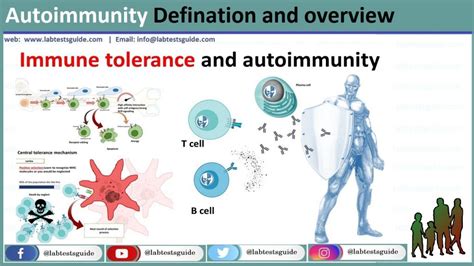 Autoimmunity Defination And Overview Lab Tests Guide