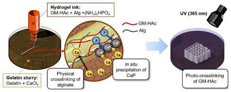 Schematic Of Three Dimensional Freeform Printing System Of Download Scientific Diagram