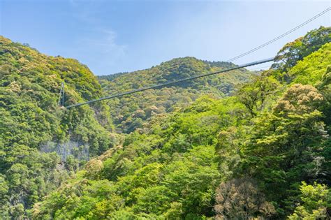 綾の照葉大吊橋 観光スポット 宮崎県公式観光サイトみやざき観光ナビ