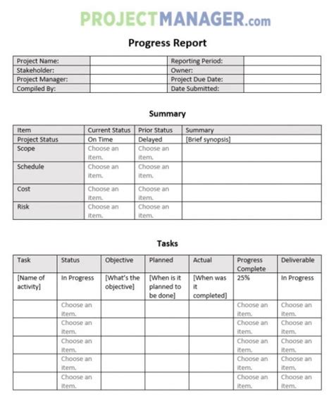 10 Editable Work In Progress Report Template Example Tacitproject