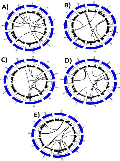 Circos Plots Showing The Significant Pairwise Epistatic Interactions