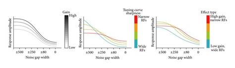Selective Attention Increases Both The Gain And Selectivity Of Download Scientific Diagram