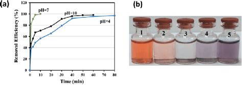 A The Effect Of Initial Solution Ph Of Cr On Removal Efficiency B Download Scientific