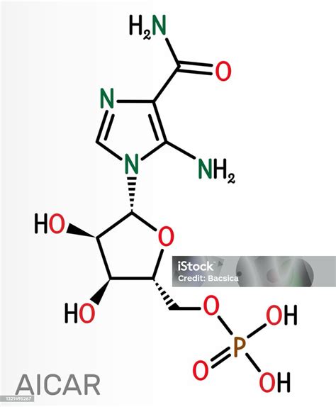 Aica 리보뉴클레오티드 Aicar 분자 그것은 아미노 미다졸 심장 혈관 약물 식물 및 인간 대사 산물입니다 골격 화학 포뮬러 Drug에 대한 스톡 벡터 아트 및 기타