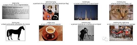 使用PyTorch进行小样本学习的图像分类 极市开发者社区