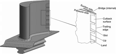 Schematic Of The Trailing Edge Slot Adapted From Wong Et Al 2016
