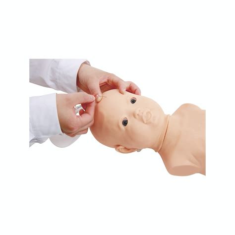Anatomy Lab Infant Scalp Puncture Model Anatomy Warehouse
