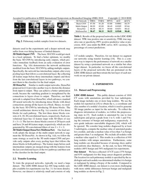 Diagnostic Classification Of Lung Nodules Using 3d Neural Networks Deepai