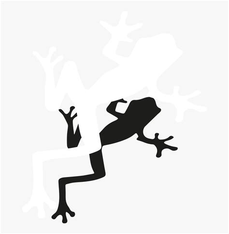 Outline Tree Frog Clipart HD Png Download Kindpng