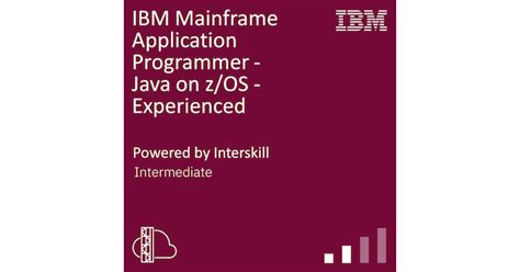 Interskill Ibm Mainframe Application Programmer Java On Zos Experienced Credly