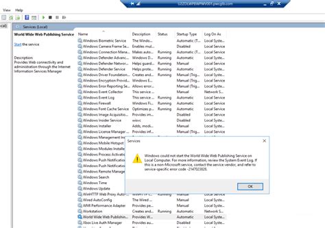 Windows Could Not Start The World Wide Web Publishing Servicew3scv In