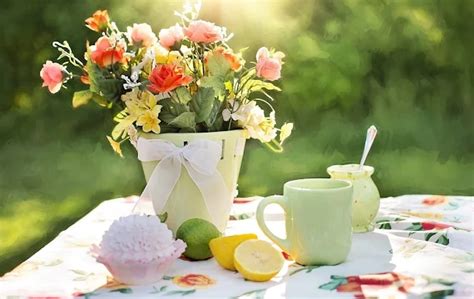 সুন্দর সুন্দর ফুলের ছবি ও পিকচার ডাউনলোড