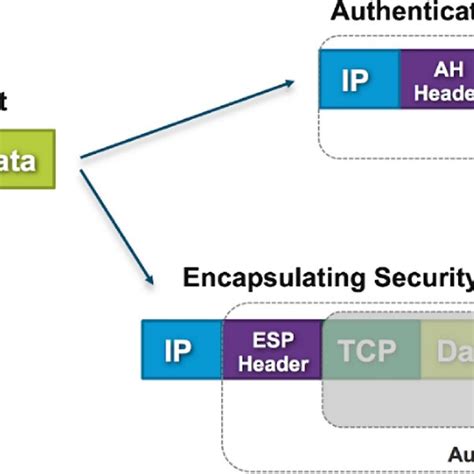 Difference Between Ah And Esp 10 Download Scientific Diagram