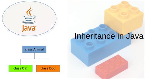 Inheritance Building On A Legacy In Java Programming