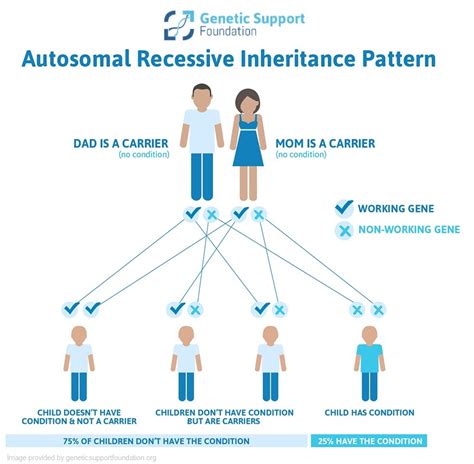 Genetic Carrier Testing Methods