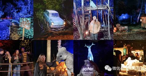 哈迷注意！ 哈利波特禁忌森林之旅要来新加坡啦 狮城新闻 新加坡新闻