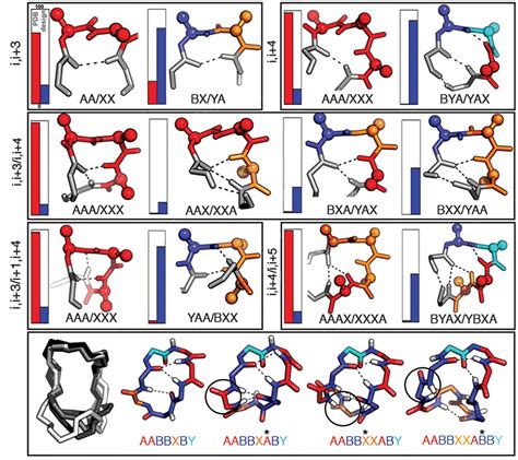 Comprehensive Computational Design Of Ordered Peptide Macrocycles Science