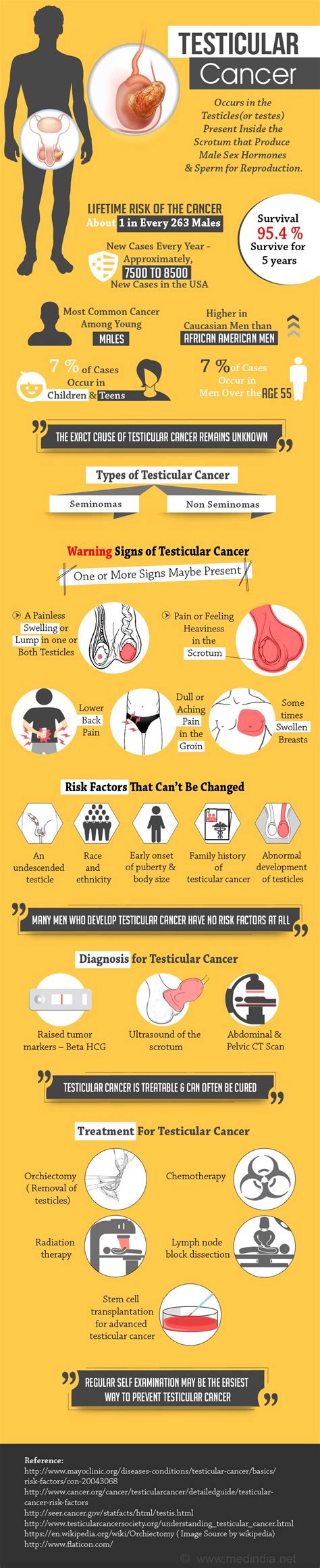 Infographic On Testicular Cancer