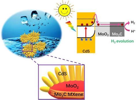 Cds Moo2 Mo2c Mxene制氢光催化剂的构建与性能 Journal Of Advanced Ceramics X Mol