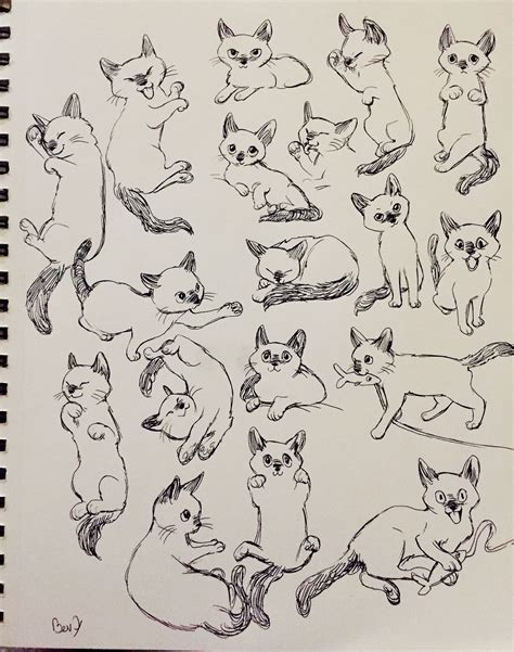 Pin By Camila Wiiiiii On Pussy Cat Drawing Tutorial Cat Sketch Cat Drawing