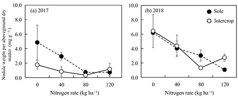 Maizepeanut Intercropping Affects Legume Nodulation In Semi Arid Conditions