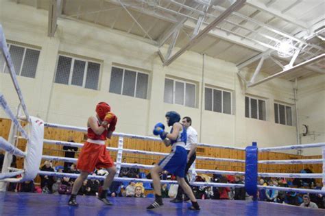 Ковельчанка Тетяна Коб вдесяте стала чемпіонкою України з боксу