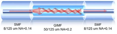 Schematic Of Single Mode—graded Index Multimode—single Mode Fiber Download Scientific Diagram