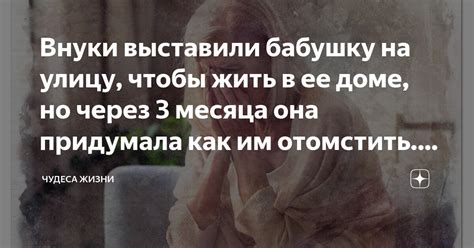 Внуки выставили бабушку на улицу чтобы жить в ее доме но через 3 месяца она придумала как им