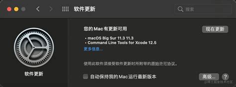 How To Completely Disable MacOS Big Sur Automatic Updates Remove