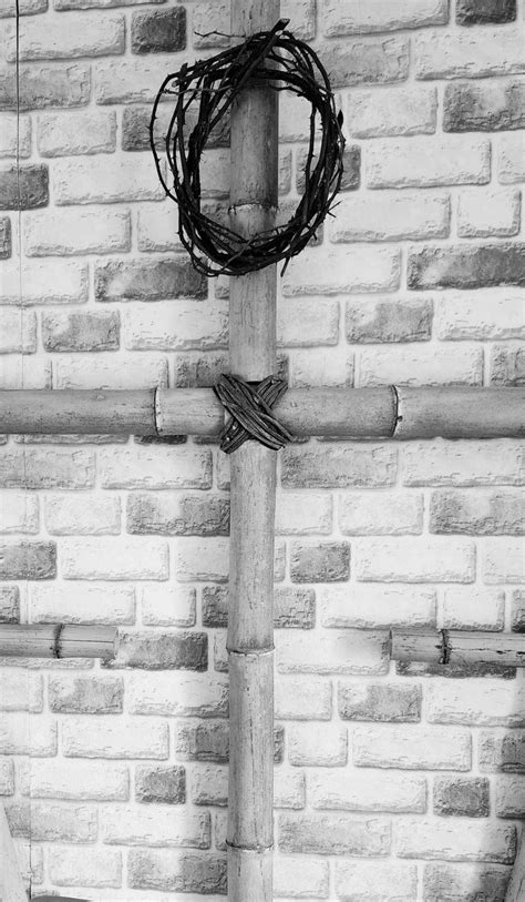 우리는 누군가의 기쁜 소식이 되어야 합니다 길을 잃어버린 사람들 잊혀진 사람들 절망의 나락으로 떨어진 사람들 이들을 찾아가 그들의 고향이 되어주어야 합니다 누군가의 설