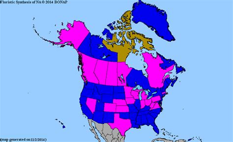 2013 Bonap North American Plant Atlas Taxonmaps