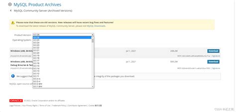 Windows下安装mysql8mysql8 Windows安装包下载 Csdn博客