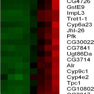 Microarray Expression Profiling Identifies Genes Differentially Download Scientific Diagram