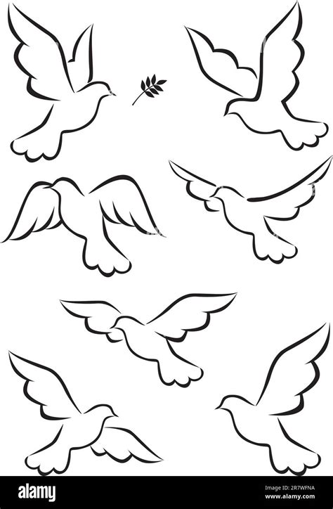 Dove Vector Illustration Stock Vector Image And Art Alamy