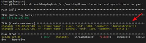 How To Use Variables In Ansible Playbooks Cherry Servers