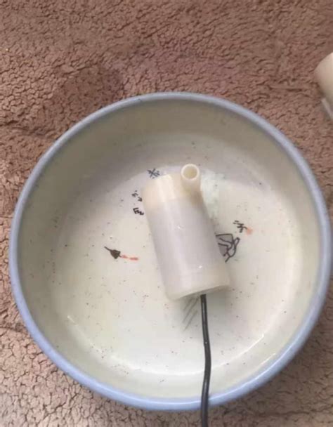 can we put a tube in the intake of this 5v water pump r arduino