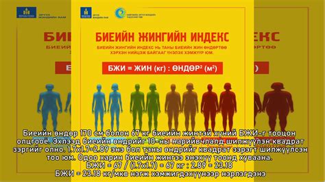 Гэрийн нөхцөлд хэрхэн биеийн жин өндрөө хэмжиж биеийн жингийн индекс БЖИ ээ тодорхойлох вэ