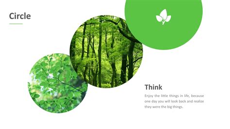 Forest Google Slide Google Slides Templates