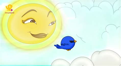 کلیپ گل‌های آفتاب‌گردان شبکه پویا