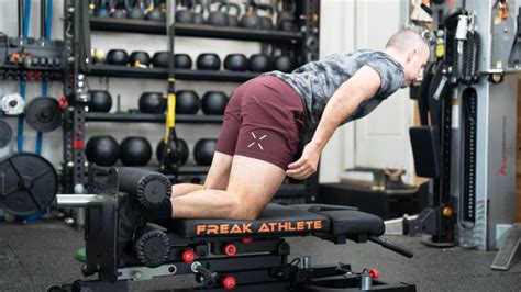 Expert Tested The 8 Best Nordic Benches 2025 Garage Gym Reviews