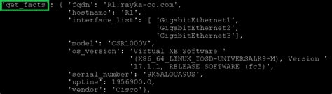 10 nornir napalm getter code example rayka are you a network engineer